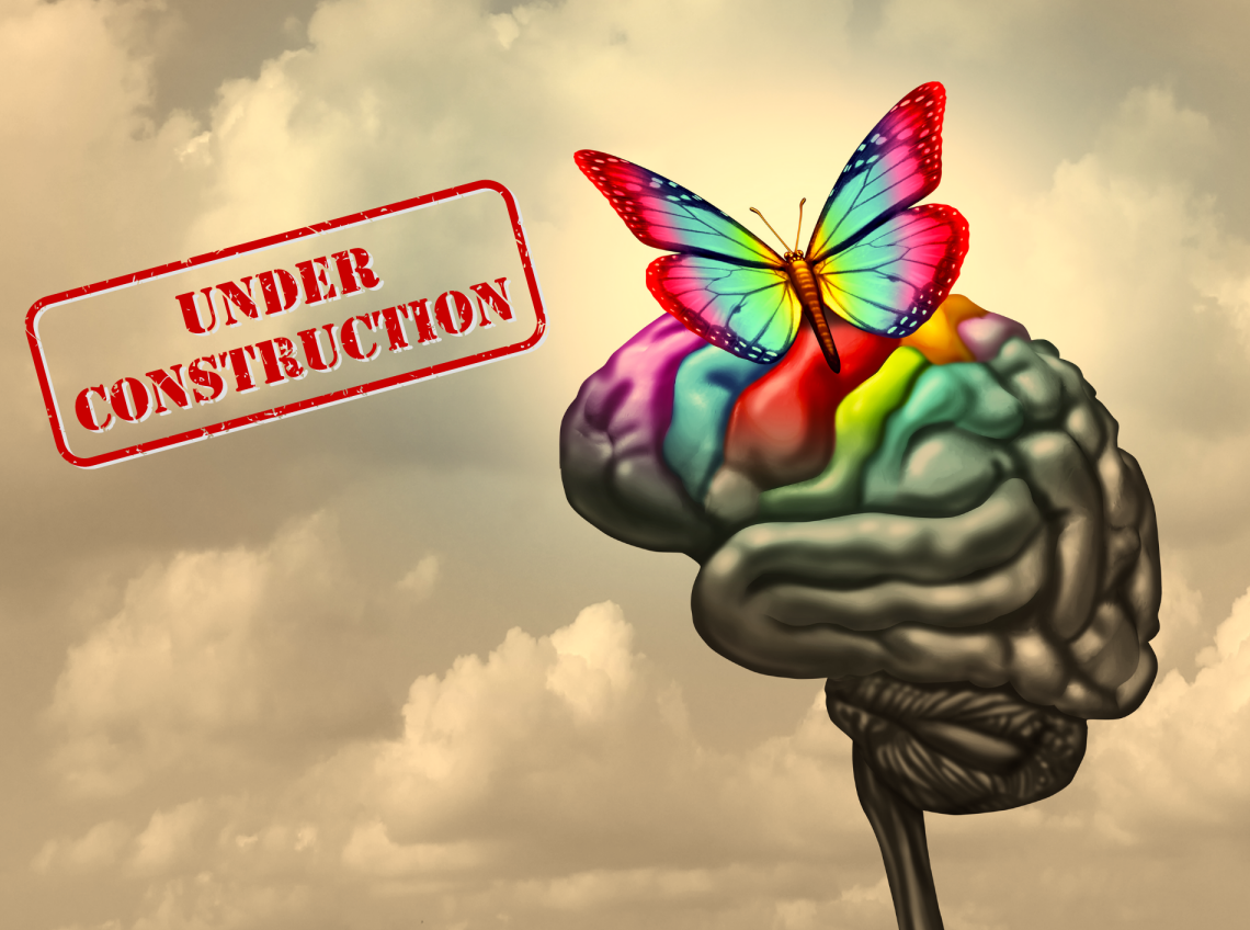 Brain Development and ADHD